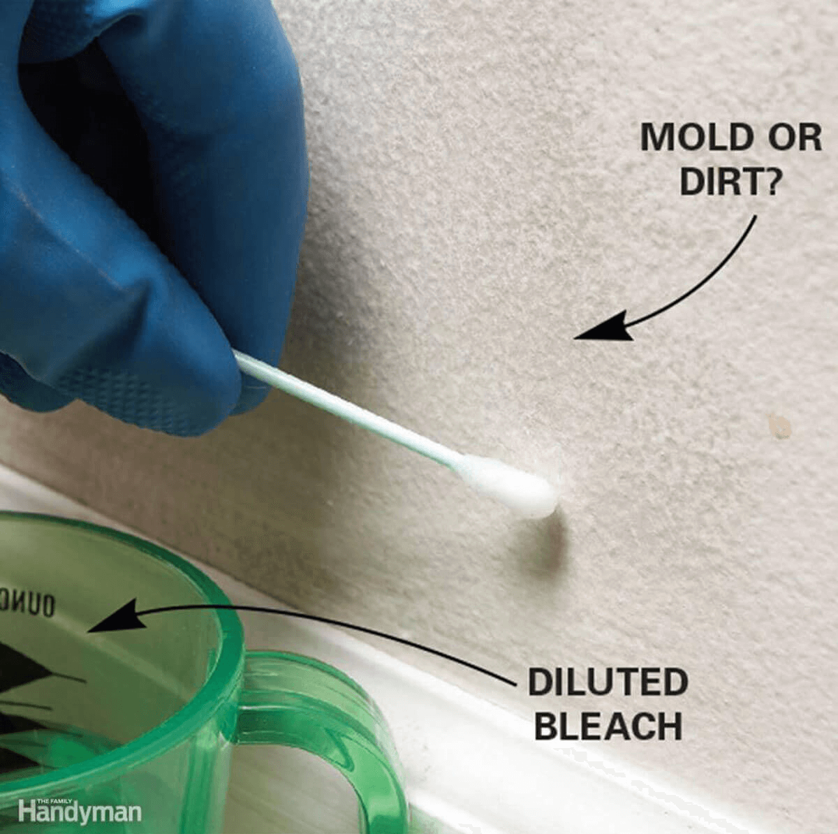 Mould in Your Home: How it Gets There and How to Beat it | Above Board ...